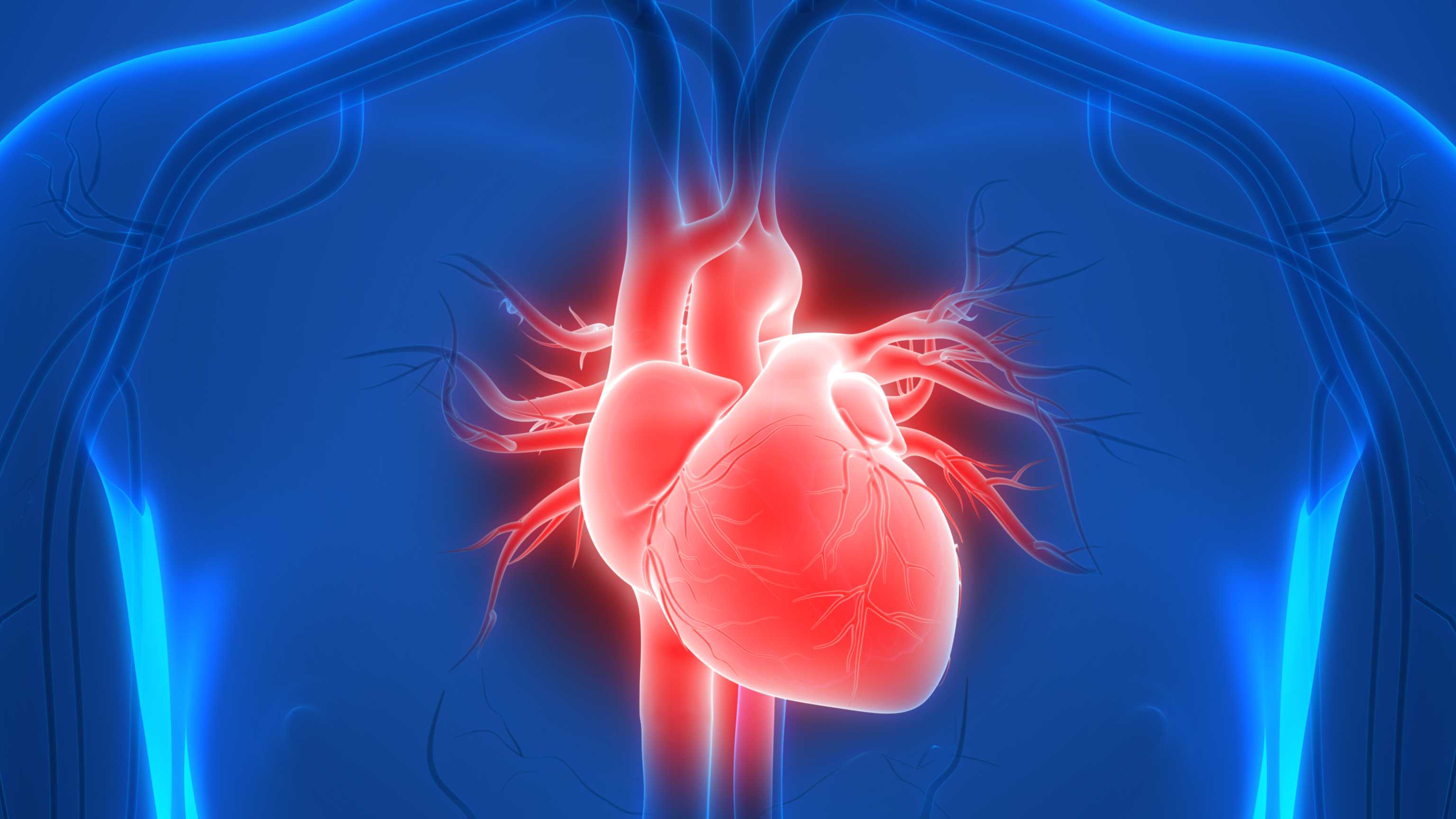 Myocardite : Quels sont les signes qui doivent alerter ? Explications d ...