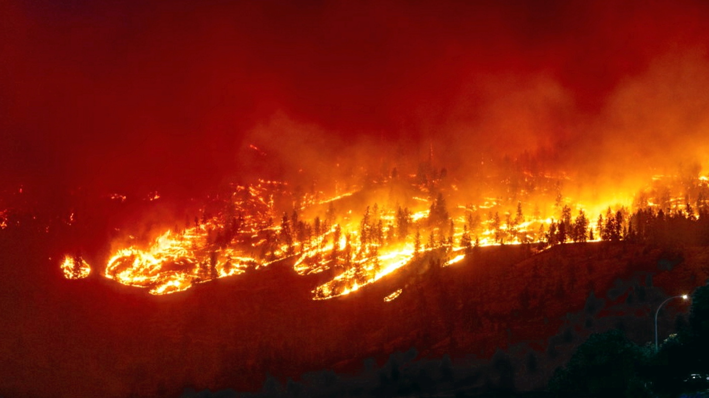 Les incendies en Colombie ont déjà détruit 172 km2 de forêts