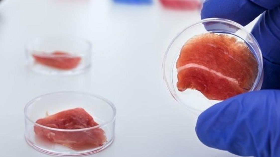 Tout ce qu'il faut savoir sur la trichinellose , cette pathologie qui ...