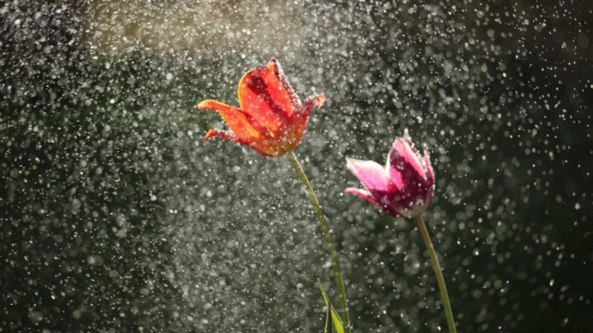 Voici le temps qu'il fera au Maroc ce jeudi 24 avril