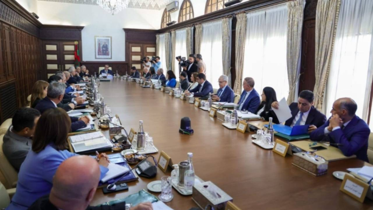 Government Council Hears Presentation on Administrative Courts